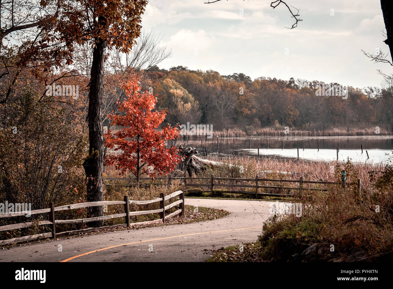 Pathway by lake hi-res stock photography and images - Alamy