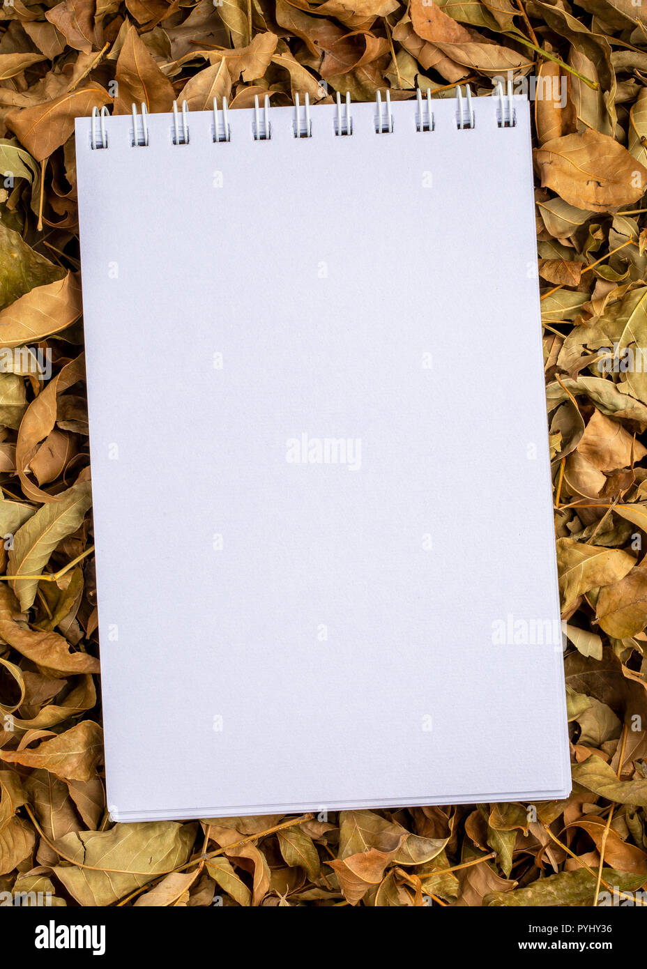 blank spiral sketchbook against dry fall leaves background Stock Photo ...