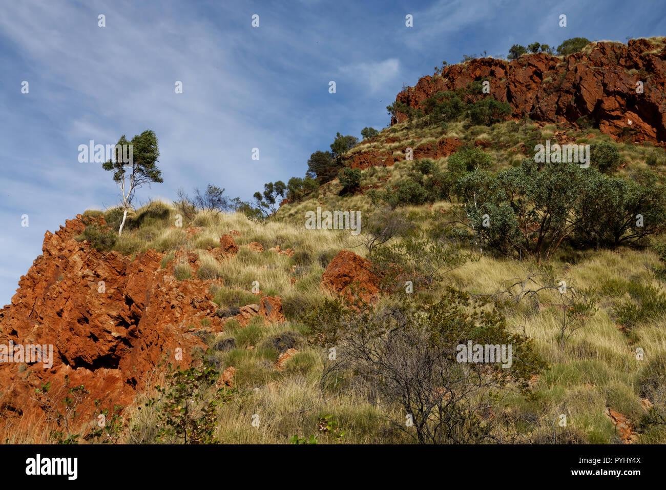 Red Centre of Australia Stock Photo - Alamy