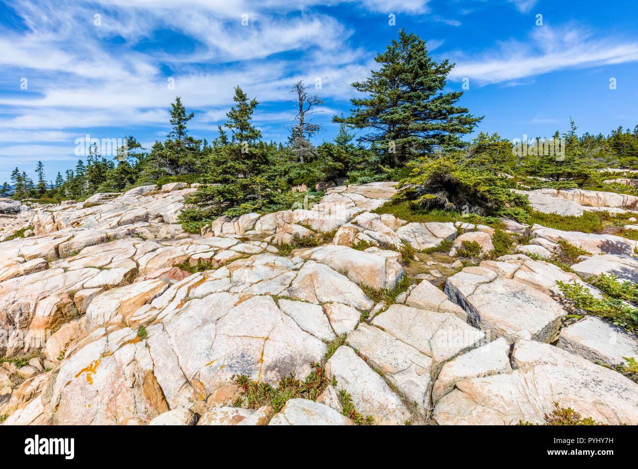 Schoodic Peninsula on the Atlantic Ocean in Acadia National Park on the ...