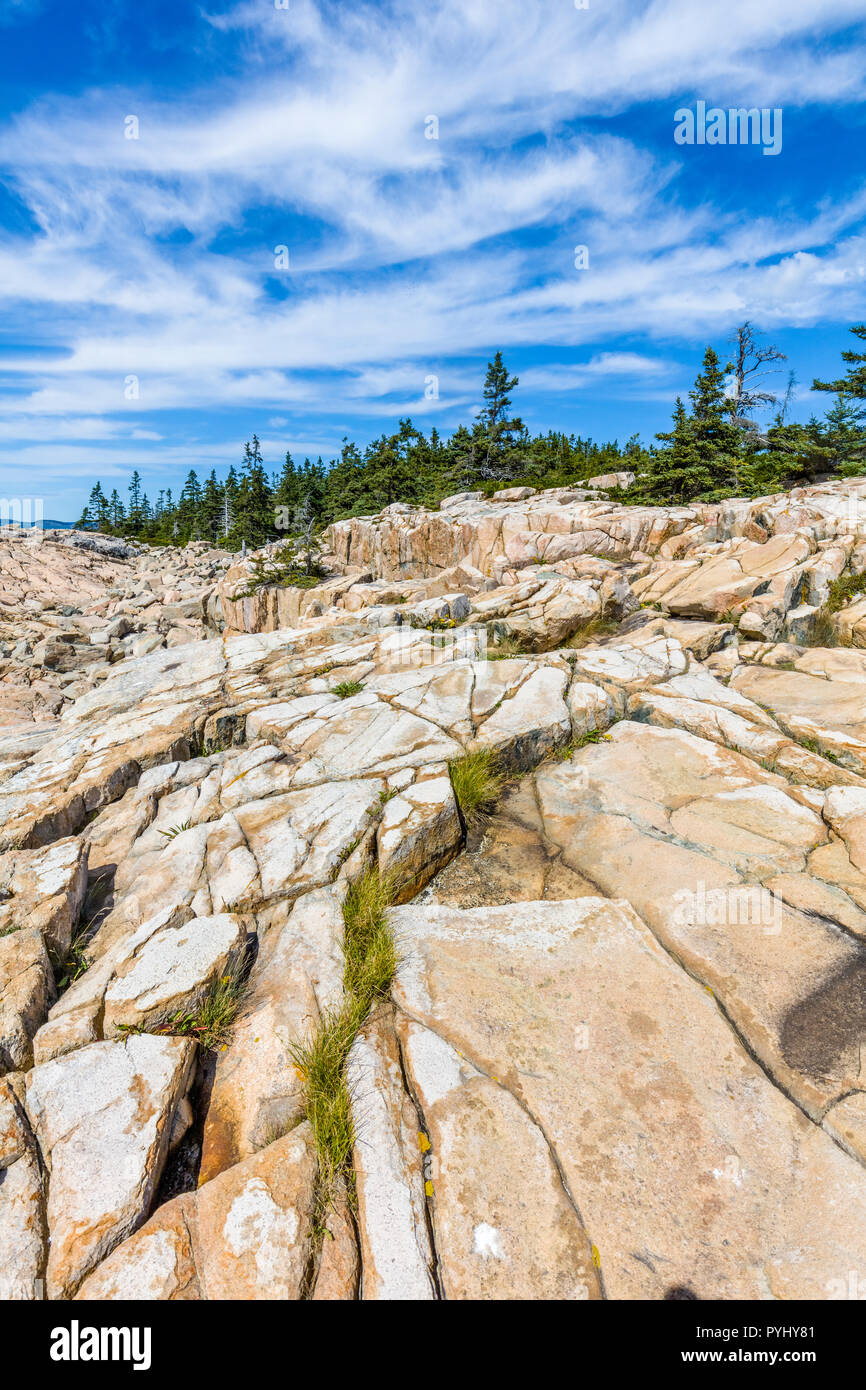 Schoodic Peninsula on the Atlantic Ocean in Acadia National Park on the ...