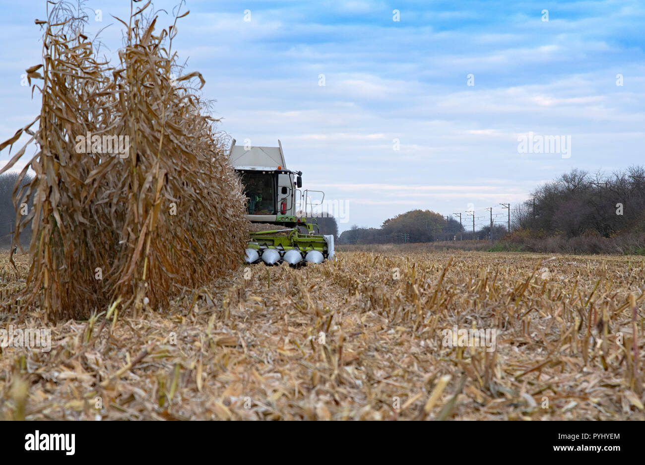 Corn transportation hi-res stock photography and images - Alamy
