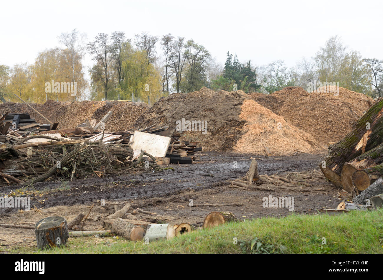 Sawmill wood waste hi-res stock photography and images - Alamy