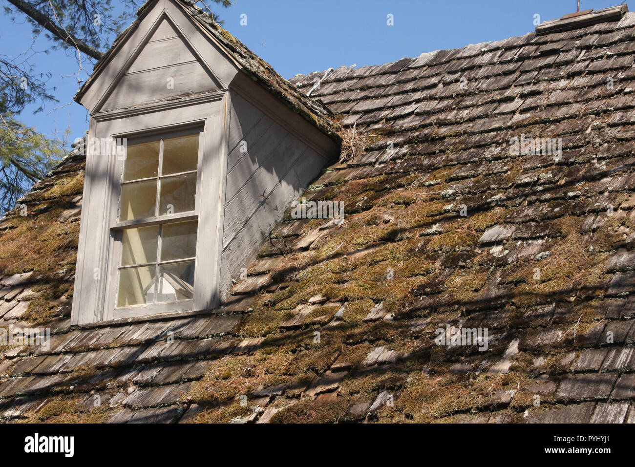 Window and roof of Cape Cod style home in Virginia, USA Stock Photo - Alamy