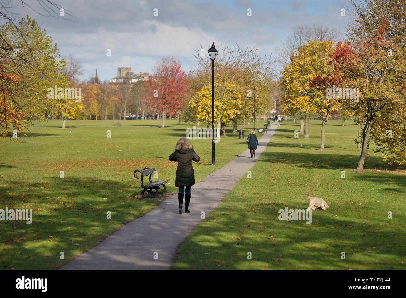 The stray harrogate hi-res stock photography and images - Alamy