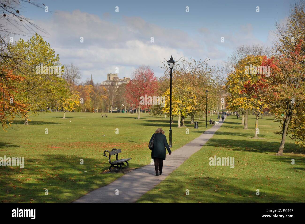 The Stray Harrogate North Yorkshire England UK Stock Photo - Alamy