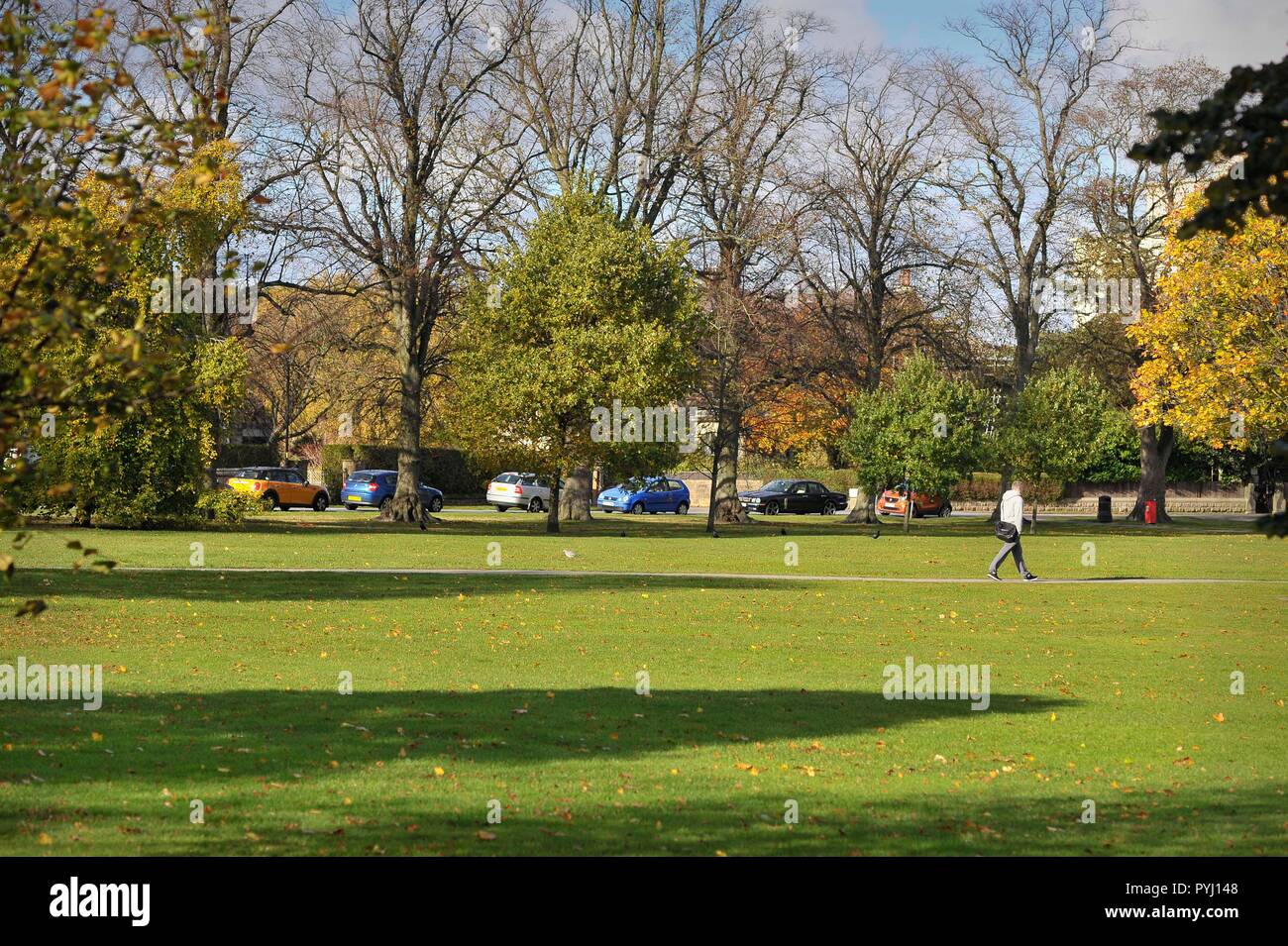 The stray harrogate hi-res stock photography and images - Alamy