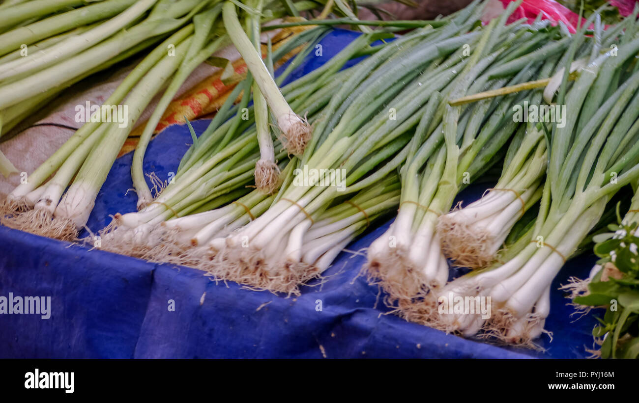 Very Large Fresh Local Leeks at Market in Turkey Stock Photo - Alamy