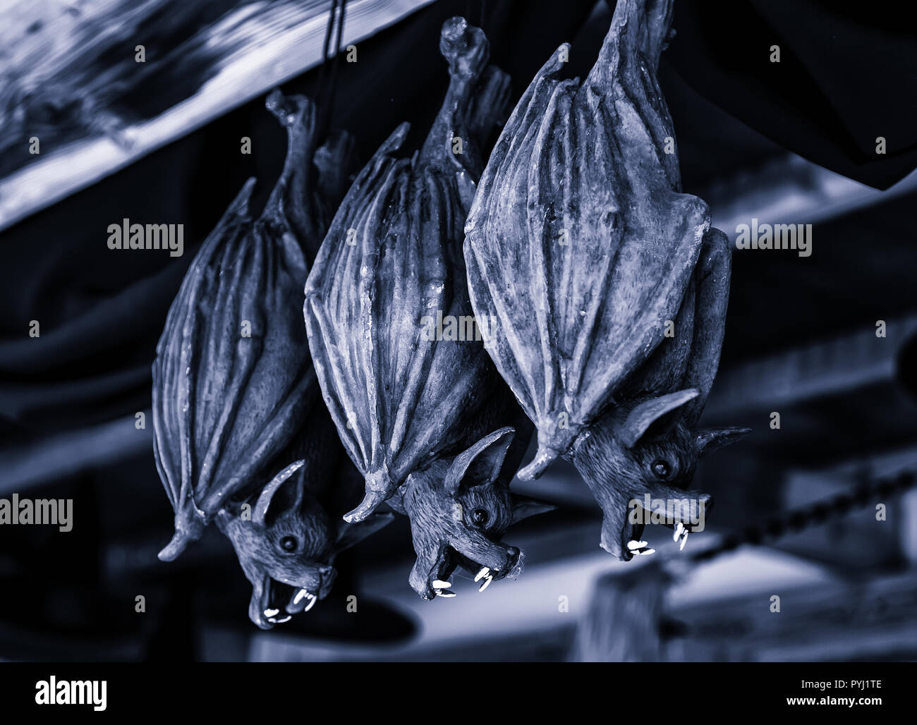 Halloween bats, terrifying decoration Stock Photo - Alamy