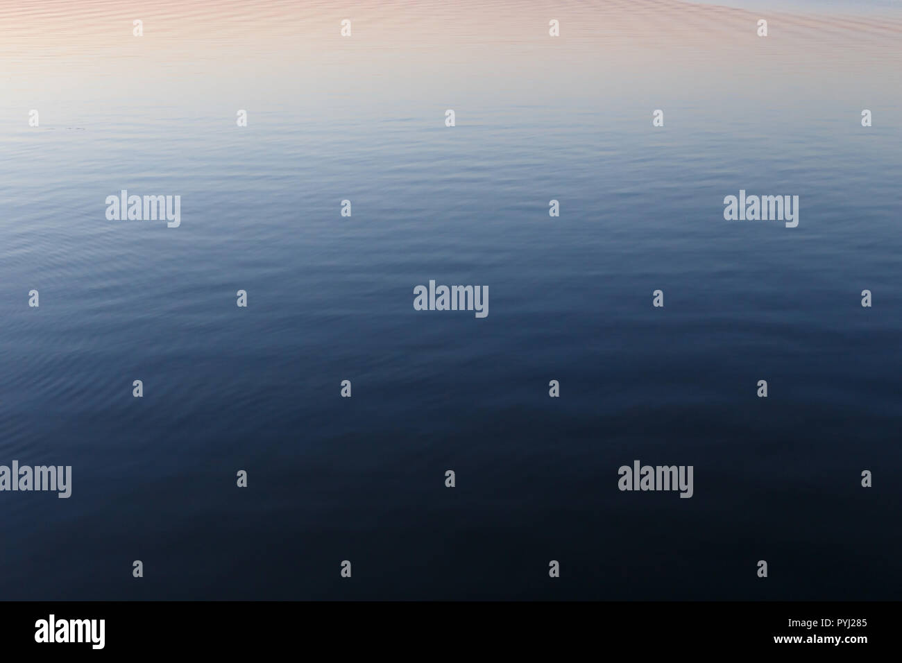 River surface in twilight, blue and pink color Stock Photo - Alamy