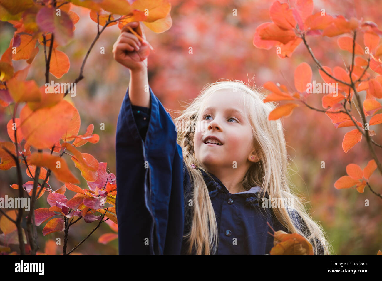 Child touch hi-res stock photography and images - Alamy