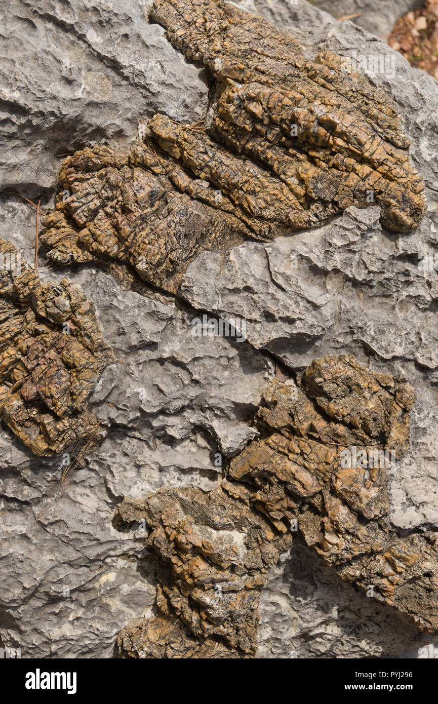 Stone texture of gray and brown colors Stock Photo - Alamy
