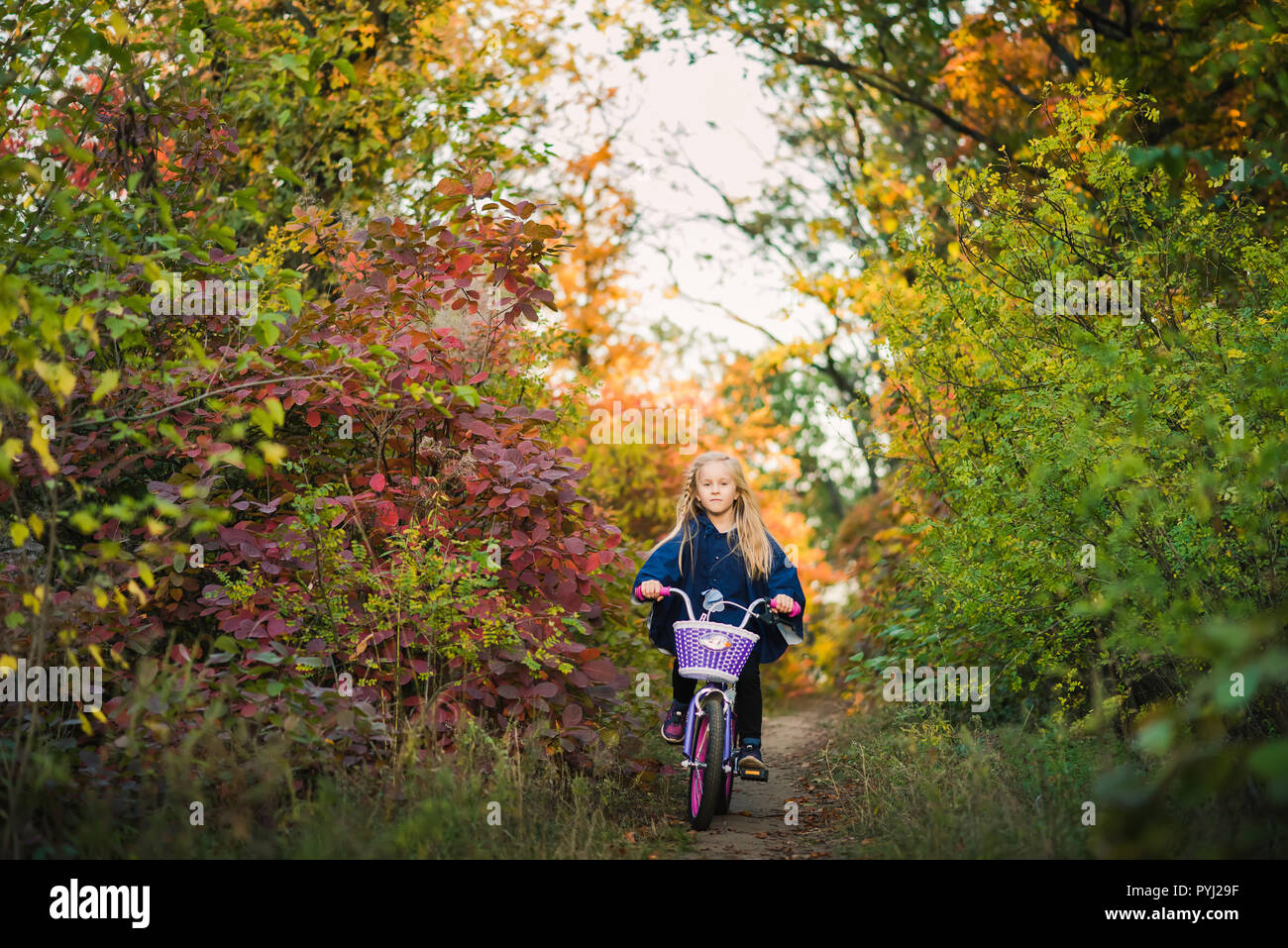 Pretty child on bike at park path with beautiful trees Stock Photo - Alamy