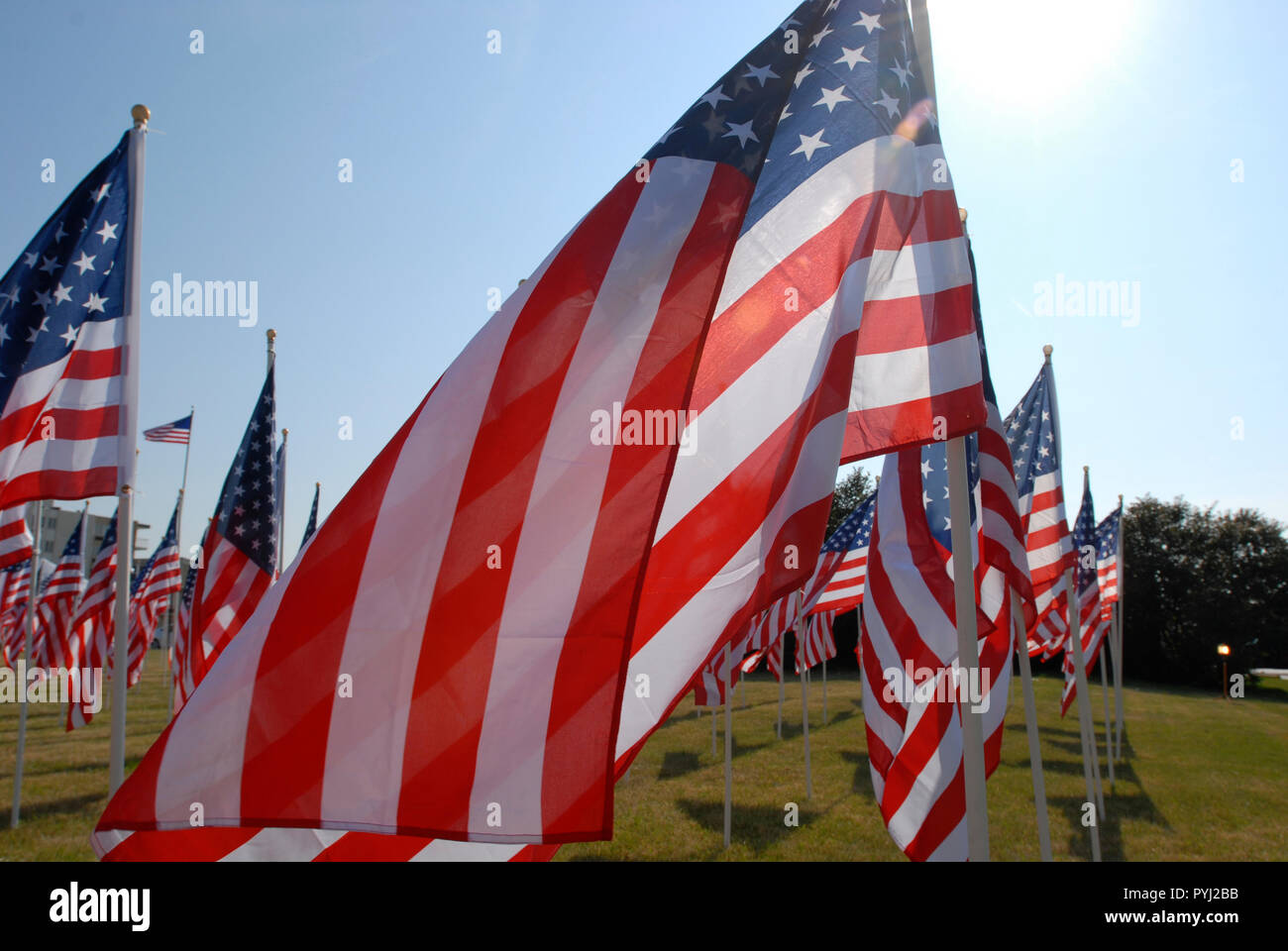 A field of American flags Stock Photo - Alamy