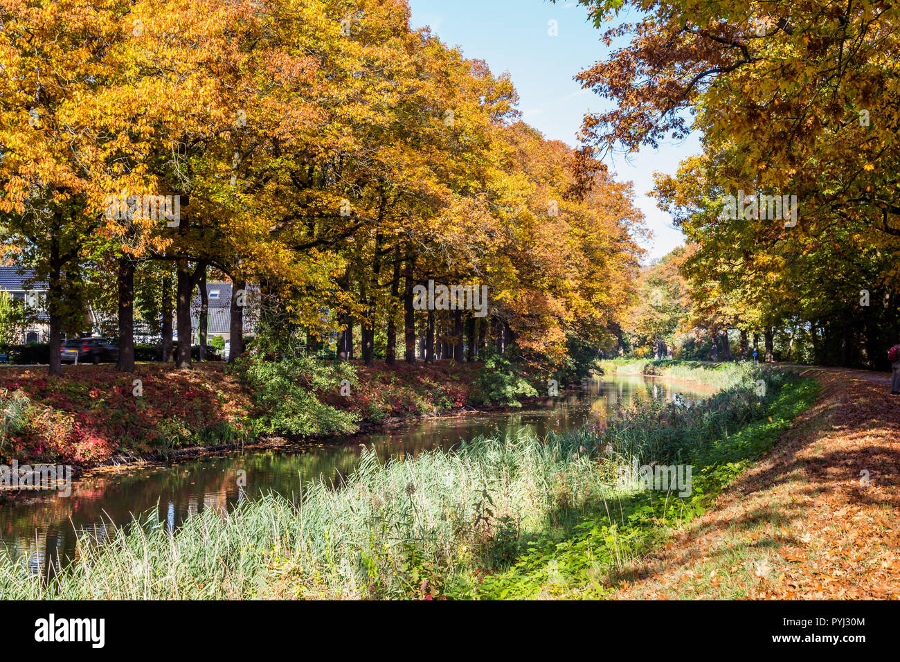 Dutch outdoors hi-res stock photography and images - Alamy