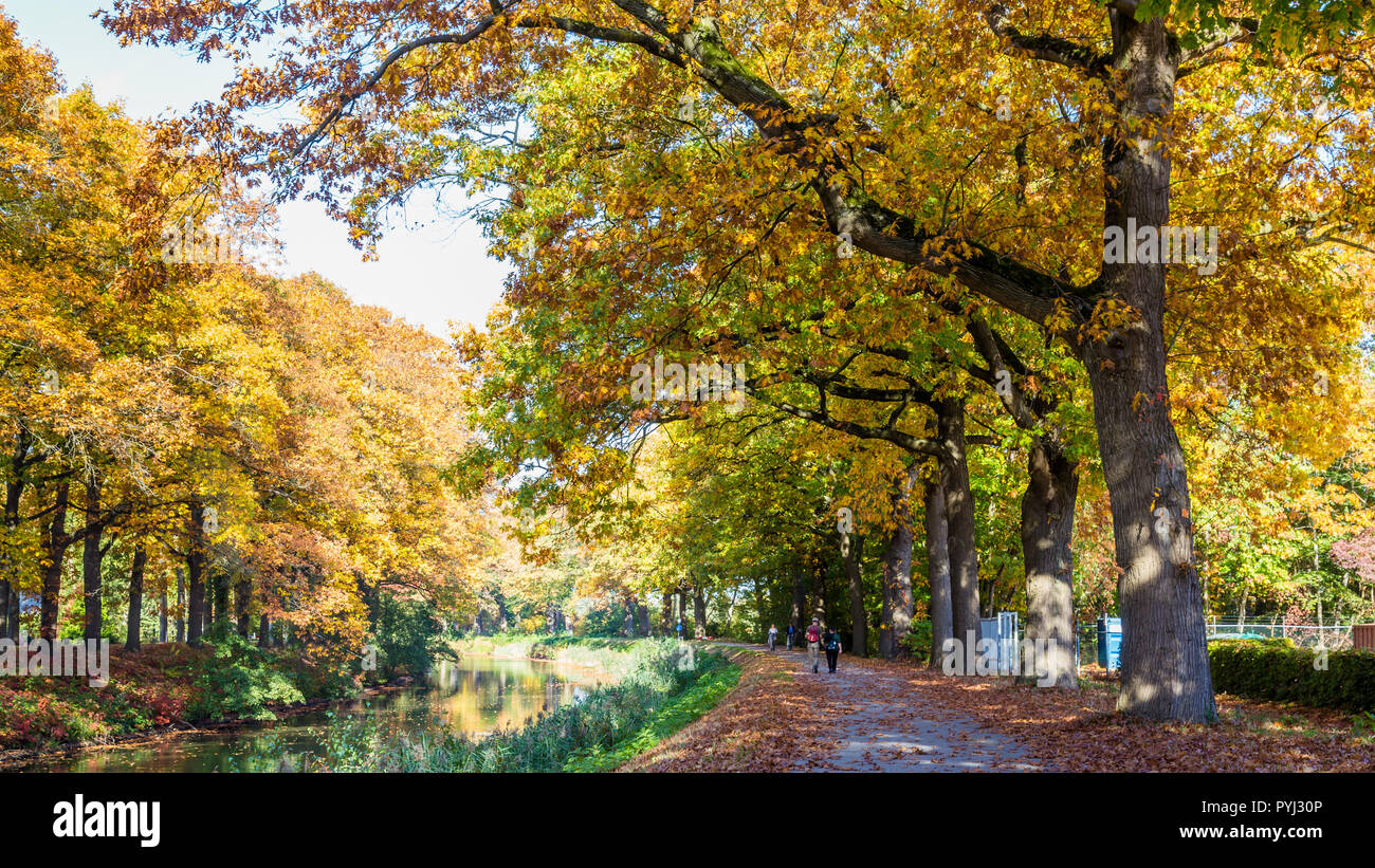 Dutch outdoors hi-res stock photography and images - Alamy