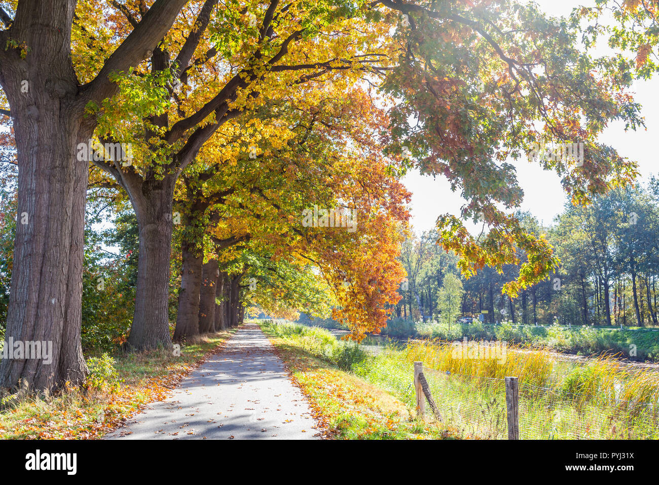 Dutch channel in autumn colors Stock Photo - Alamy