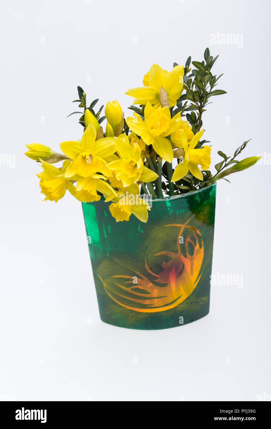 Yellow jonquil flowers isolated on white background Stock Photo - Alamy