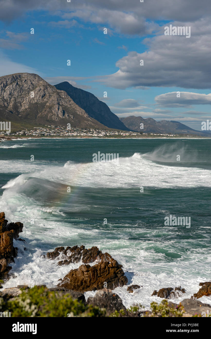 Hermanus, Western Cape, South Africa Stock Photo - Alamy