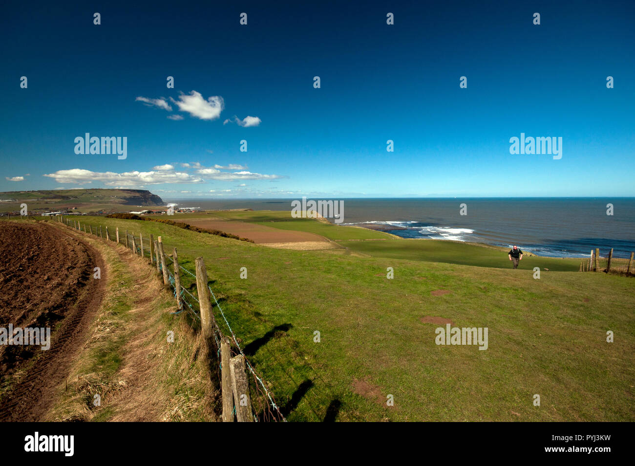 A walker on the Cleveland Way heading south from Staithes, North ...
