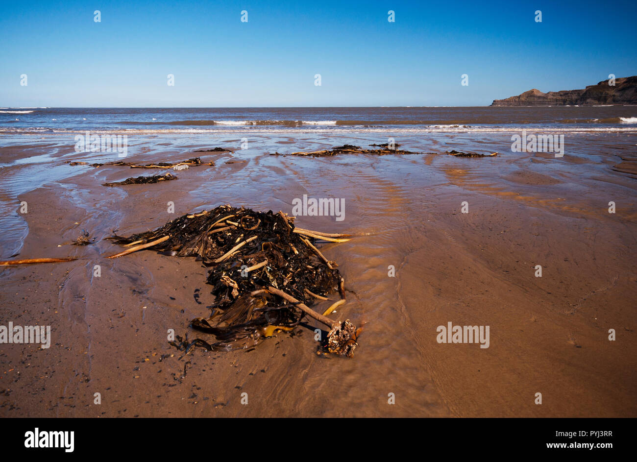 East yorkshire coast yorks hi-res stock photography and images - Alamy
