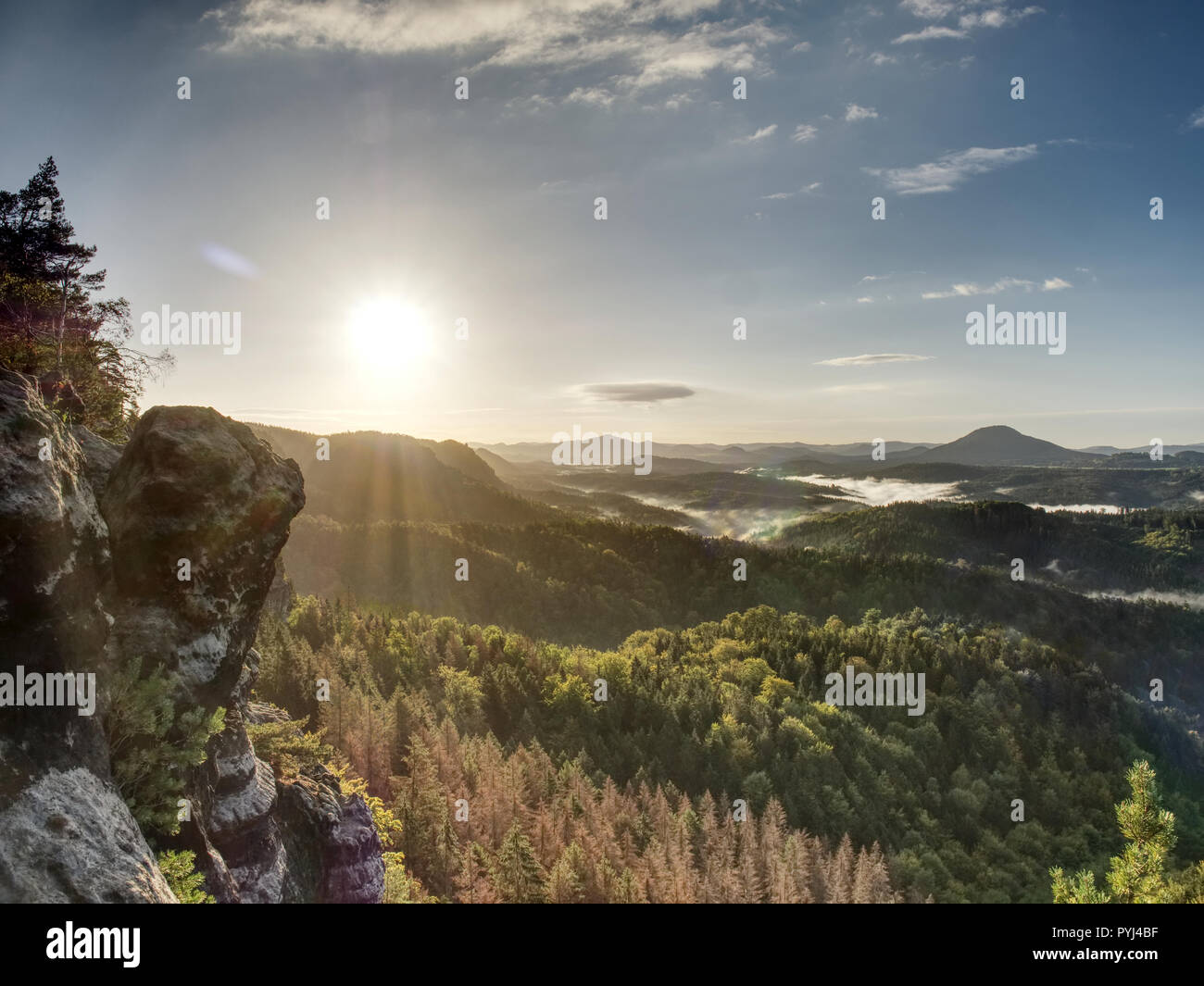 Rocky mountains above landscape covered with green forest in clear ...