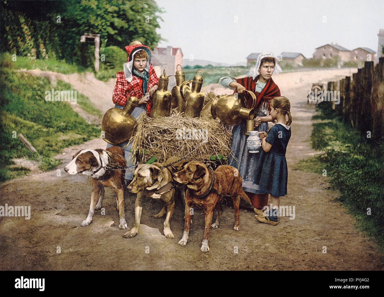 Milk sellers, Brussels, Belgium ca. 1890-1900 Stock Photo - Alamy