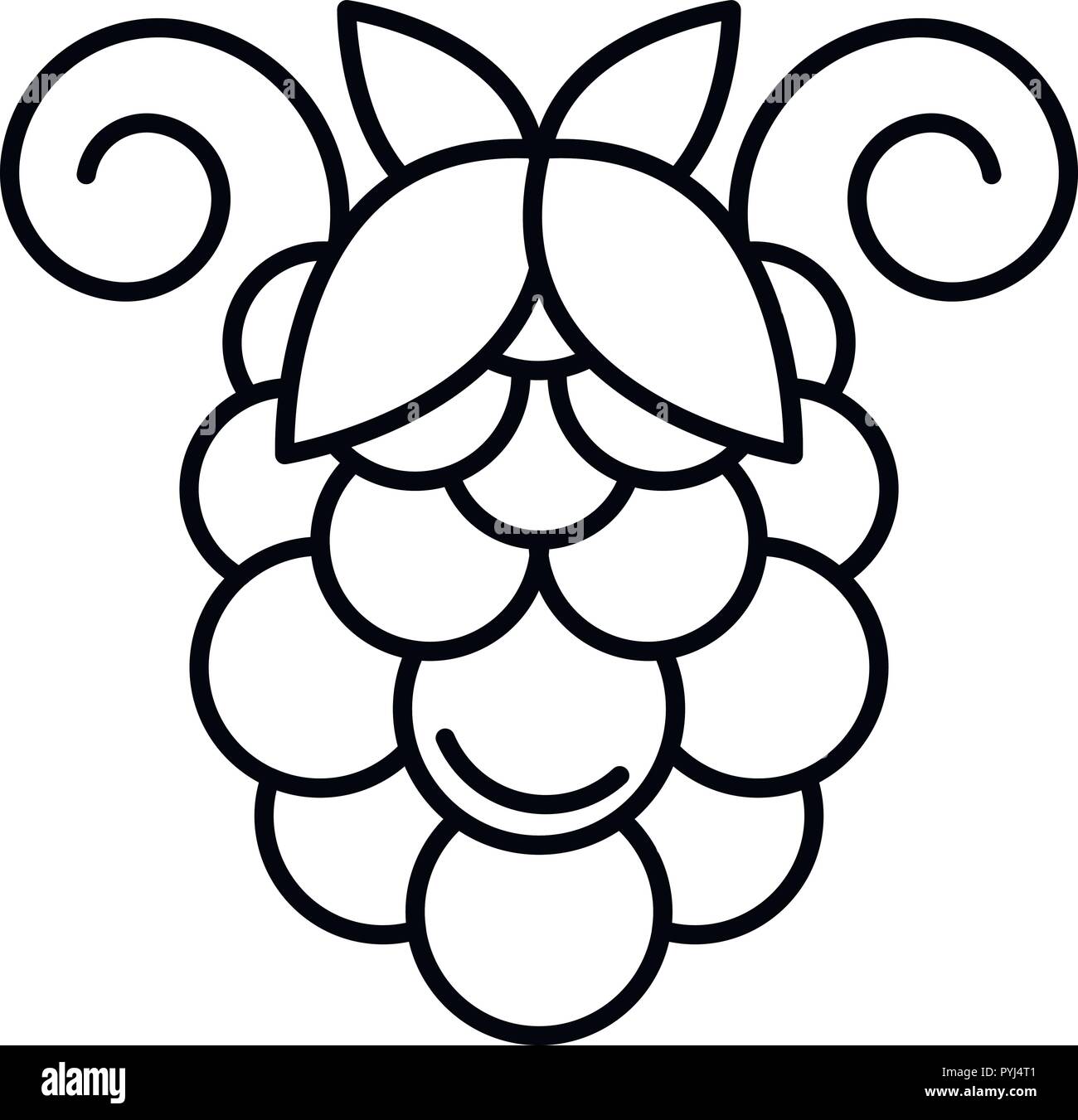 Bunch vitis vinifera white Stock Vector Images - Alamy