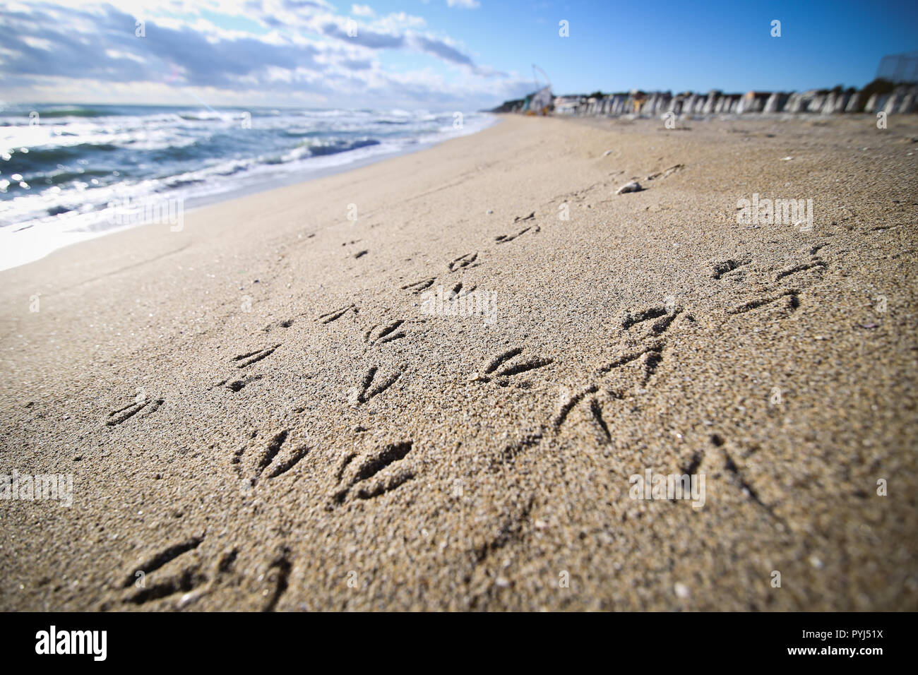 Beautiful landscape feet tracks on hi-res stock photography and images ...