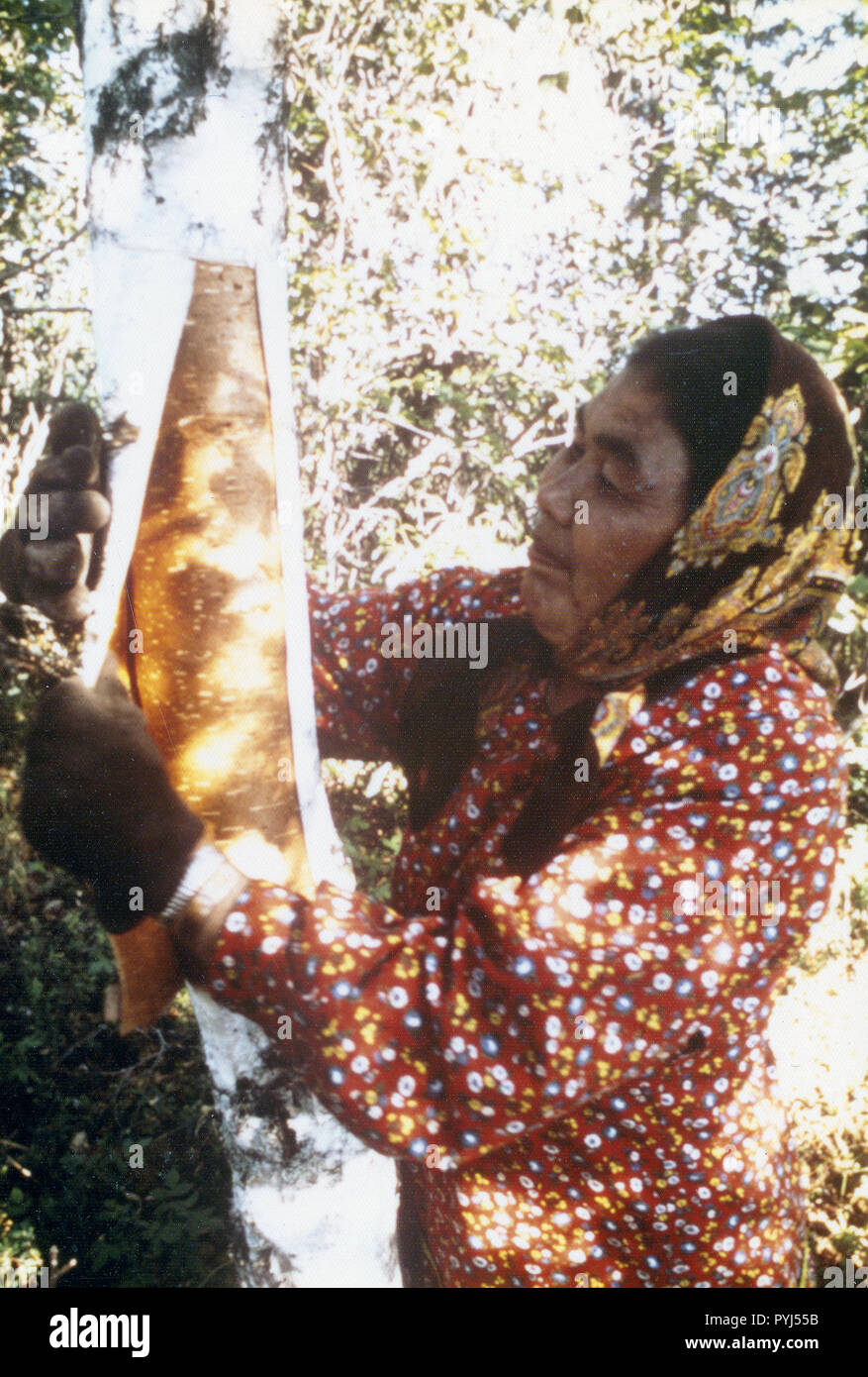 Eskimo women stripping bark hi-res stock photography and images - Alamy