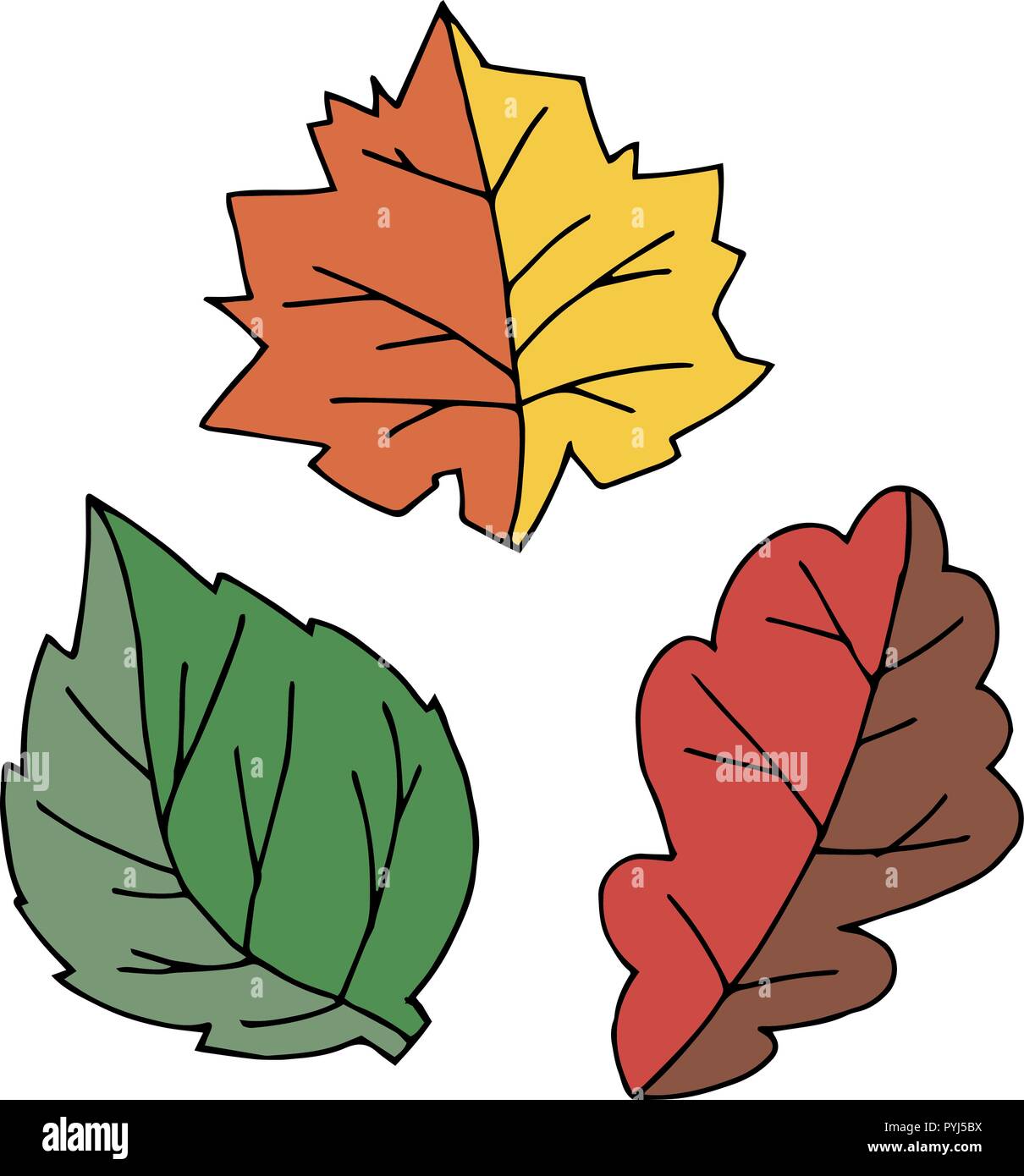 Illustration birch vector vectors hi-res stock photography and images ...