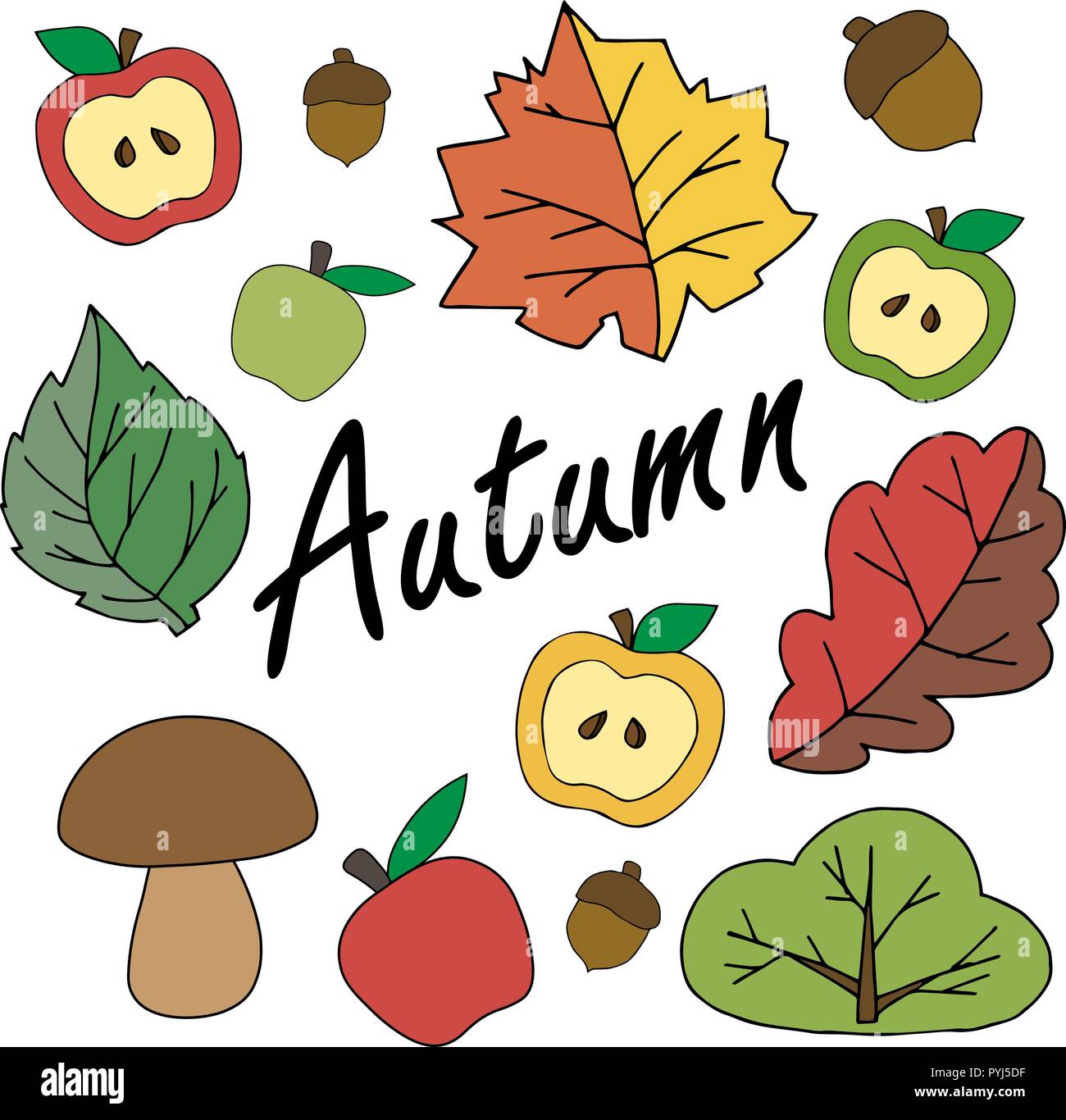 Autumn set of items. colorful foliage. brown mushroom and apples. acorn ...