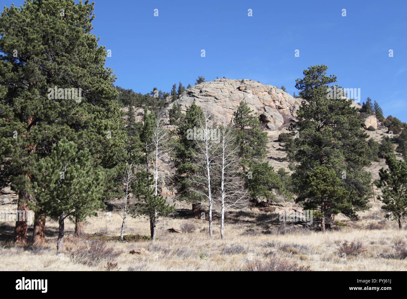 Frazier mountain park hi-res stock photography and images - Alamy