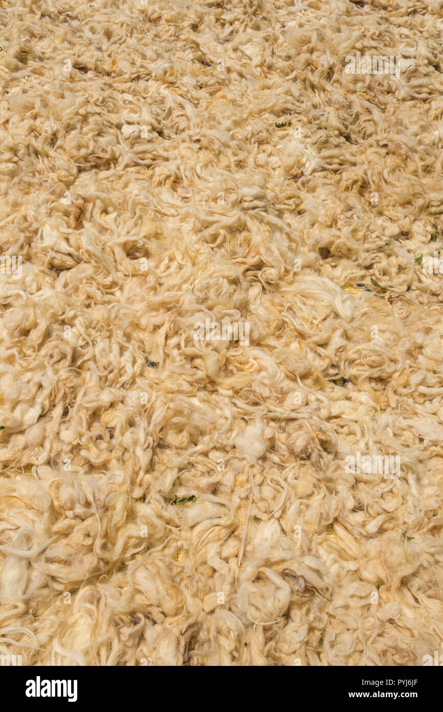 Heap of wool as a texture background Stock Photo - Alamy