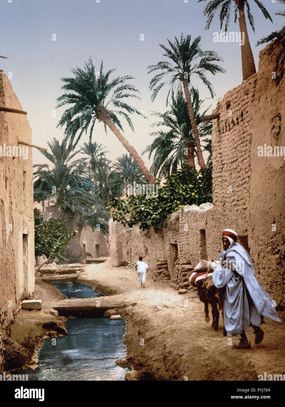 Biskra algeria africa hi-res stock photography and images - Alamy