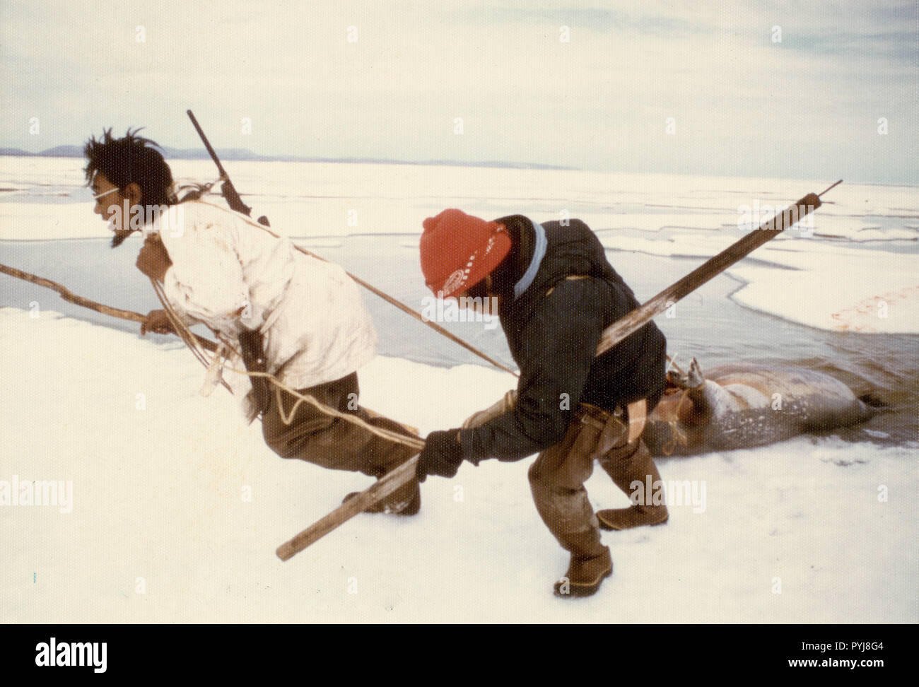 Inuit People Hunting