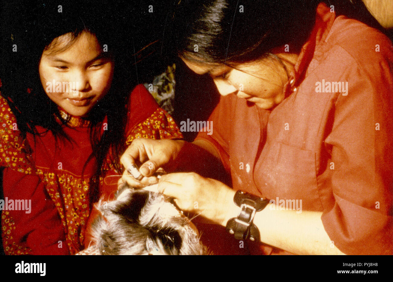 Eskimos sewing caribou skin hi-res stock photography and images - Alamy