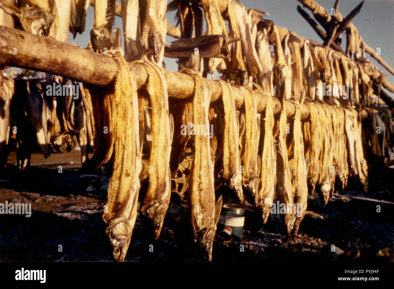 Alaska fish drying racks hi-res stock photography and images - Alamy