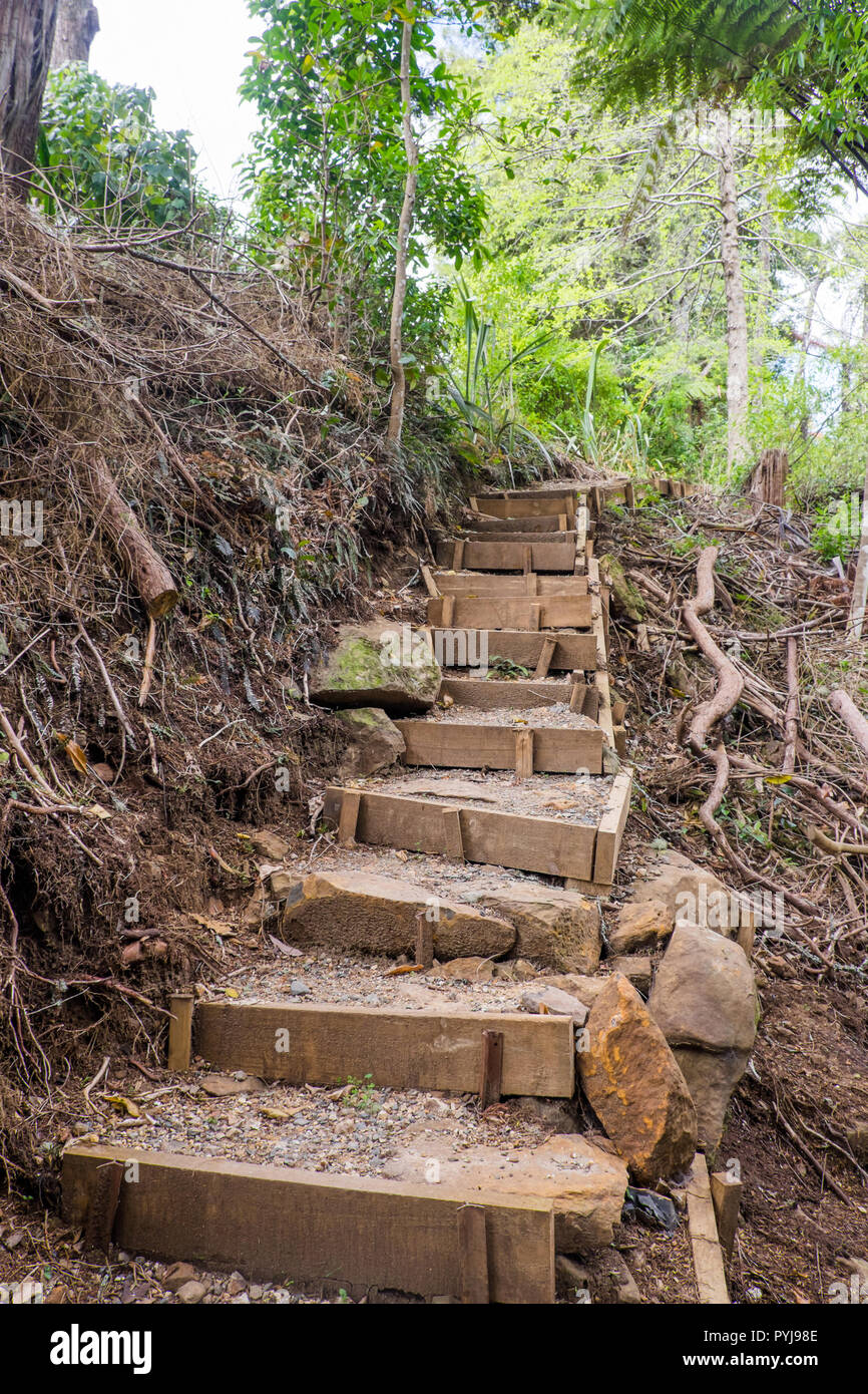 Wooden steps on nature trail hi-res stock photography and images - Alamy