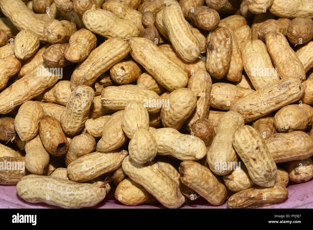 Shells upon hi-res stock photography and images - Alamy