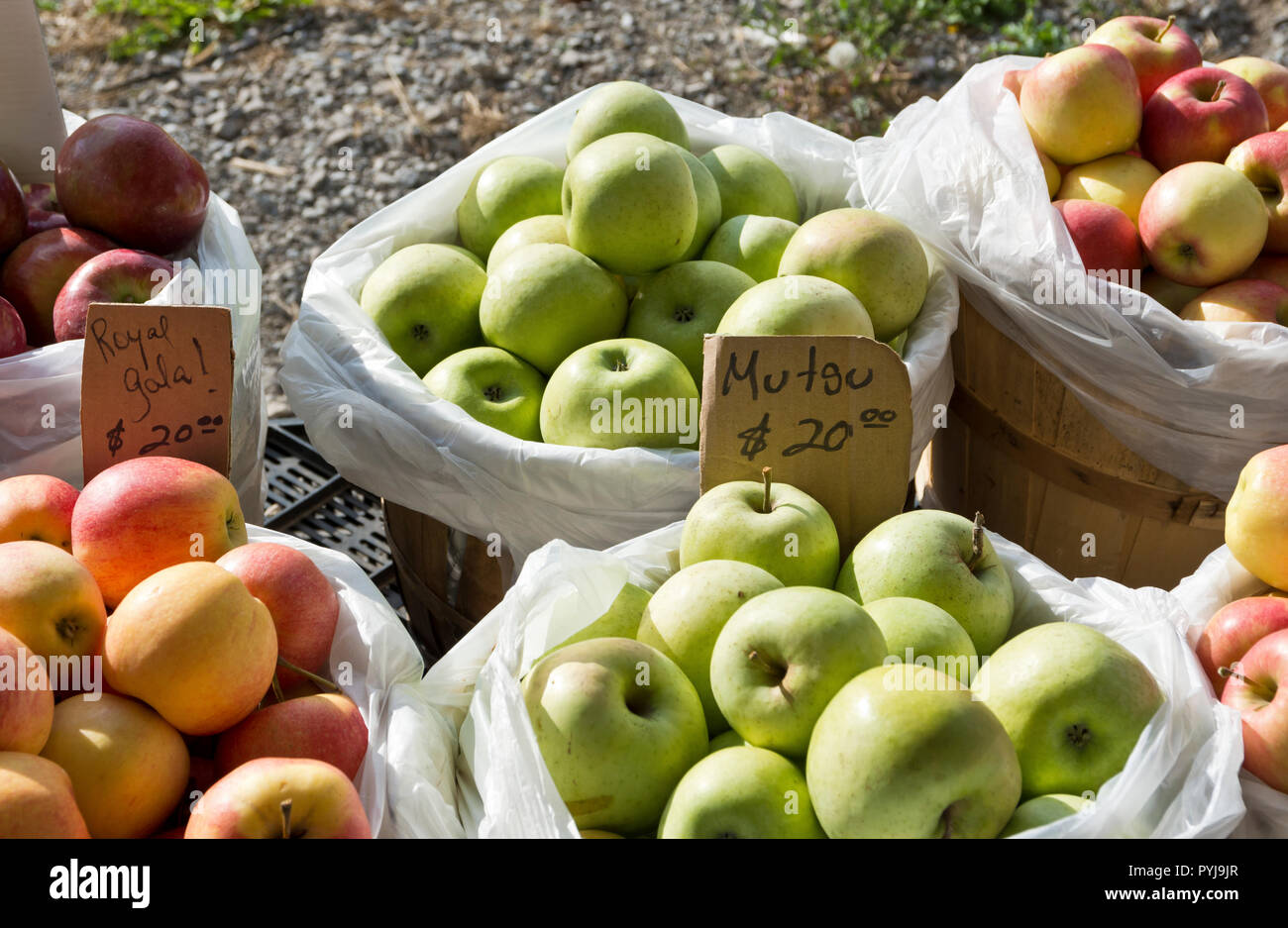 Apple varieties hi-res stock photography and images - Alamy