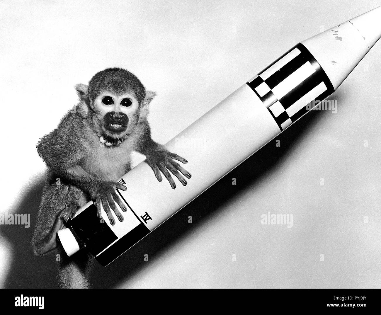 Monkey Baker, payload of Jupiter (AM-18), poses on a model of the ...