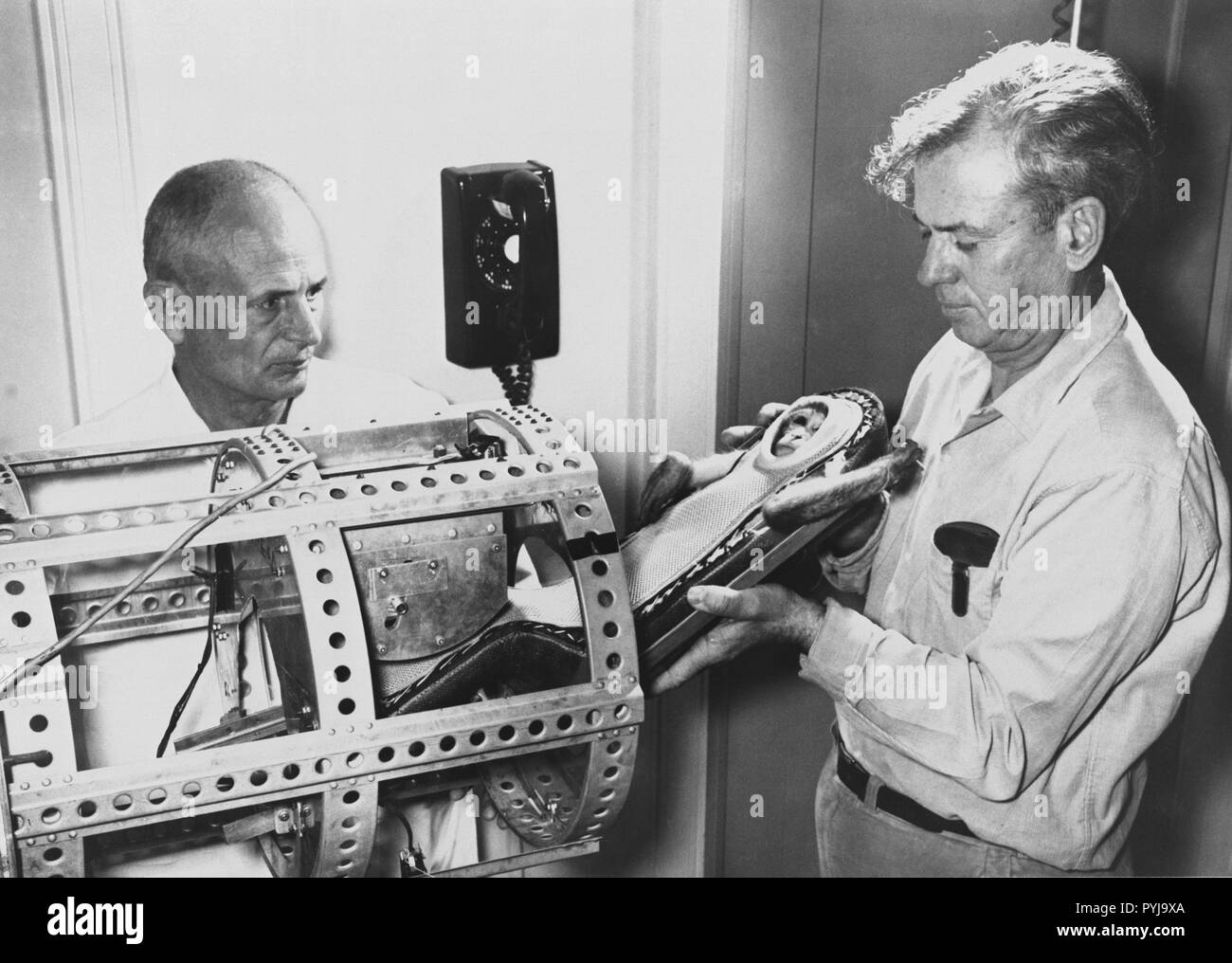 (21 Jan. 1959) --- The test subject, a rhesus monkey named Miss Sam, is ...