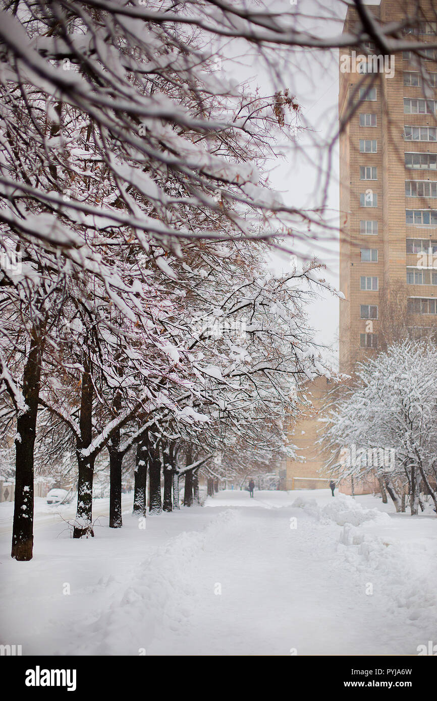 Winter landscape in the snowy city. City after a snowstorm, snow ...