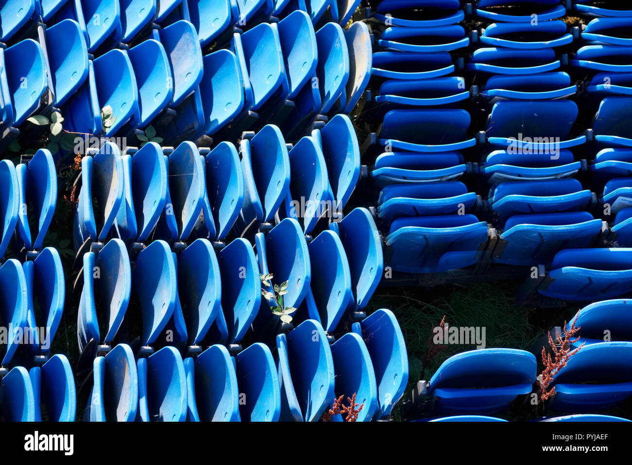 Plastic pavilion hi-res stock photography and images - Alamy