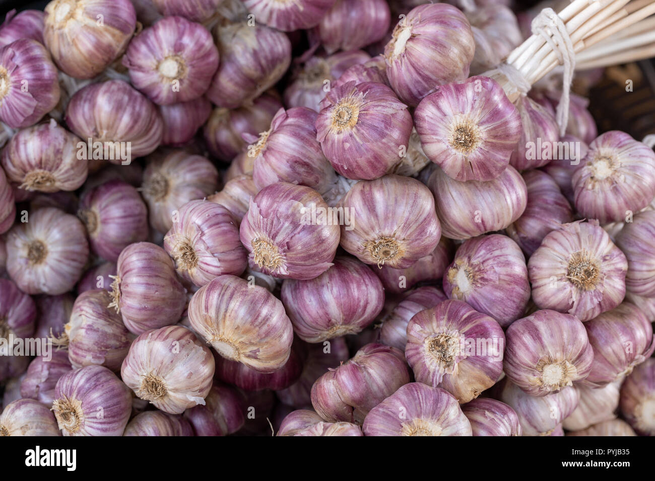 Fresh garlic at the vegetables market stall Stock Photo - Alamy