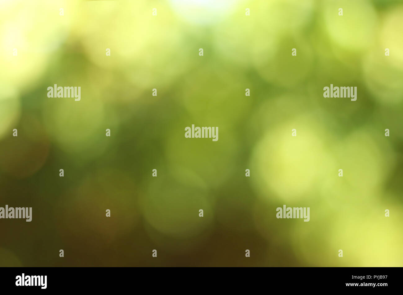 Green bokeh out of focus background lights Stock Photo - Alamy