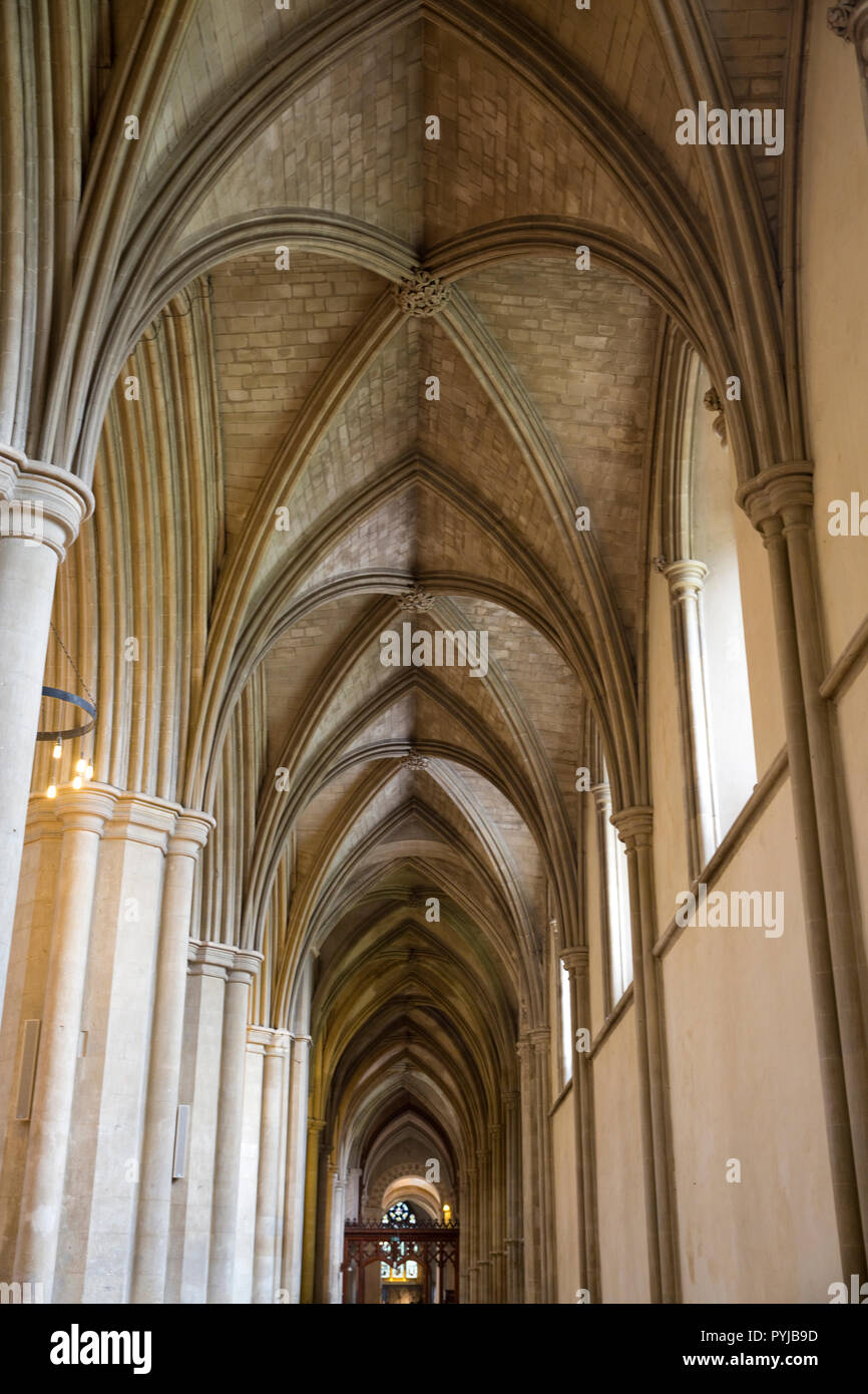Ribbed Vault Ceiling