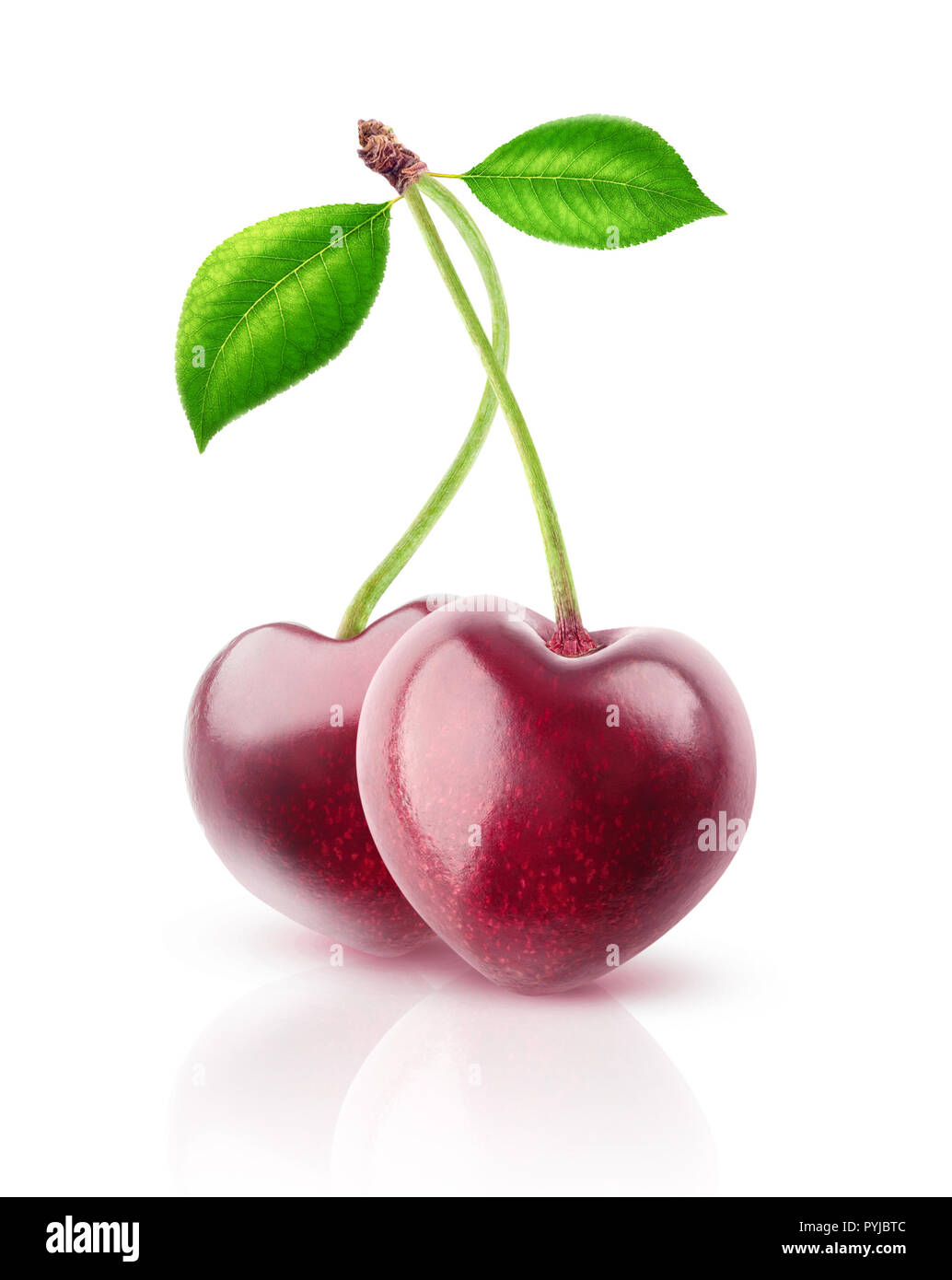 Two isolated berries. Pair of heart shaped cherry fruits on a stem ...