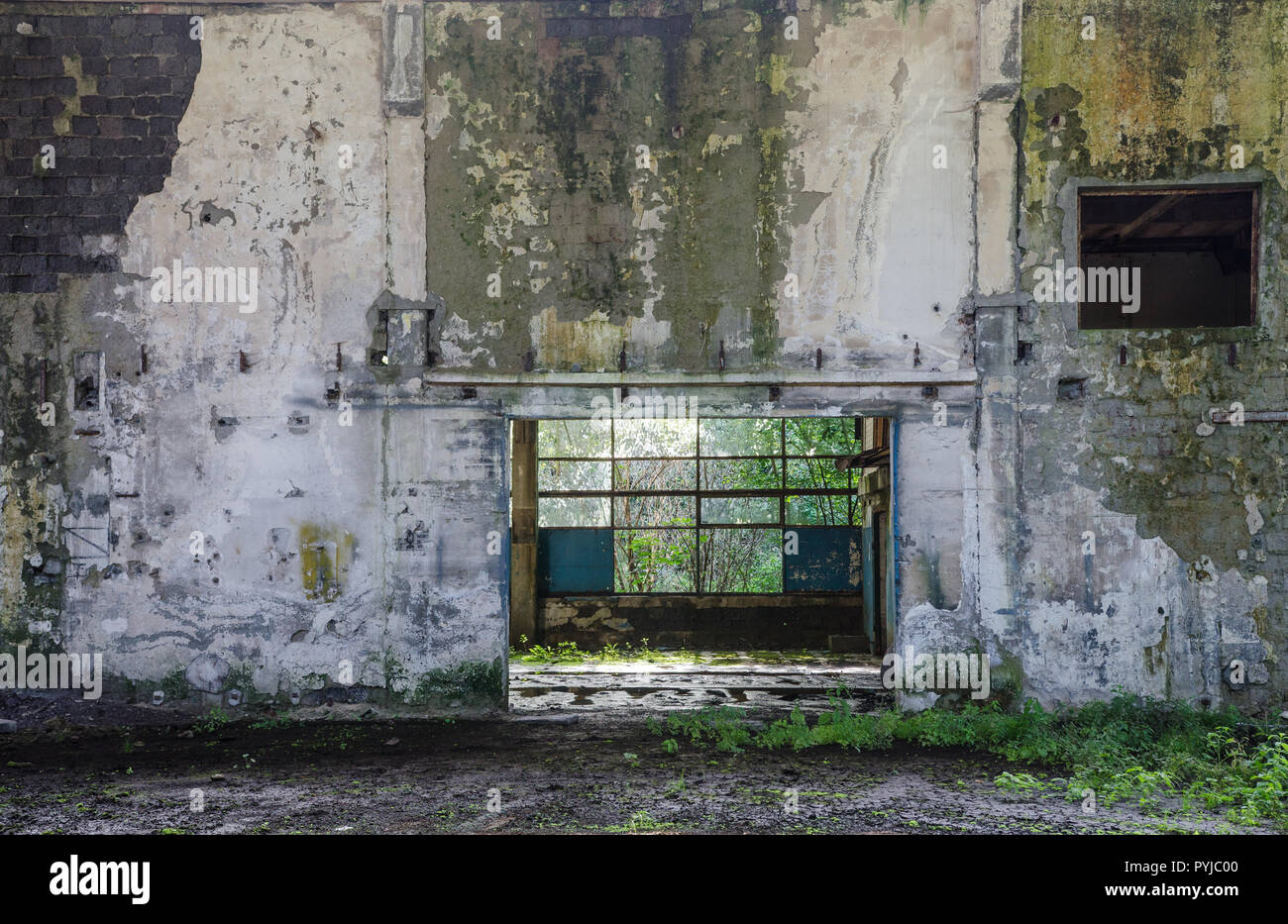 Abandoned industrial hall with morning sunshine - vegetation growing ...